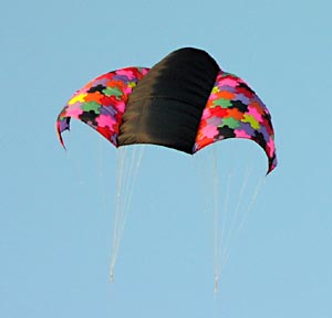 Larry & Karen Green's Kites