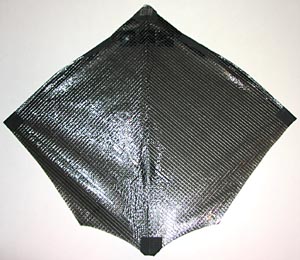 Larry & Karen Green's Kites