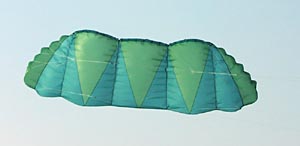 Larry & Karen Green's Kites